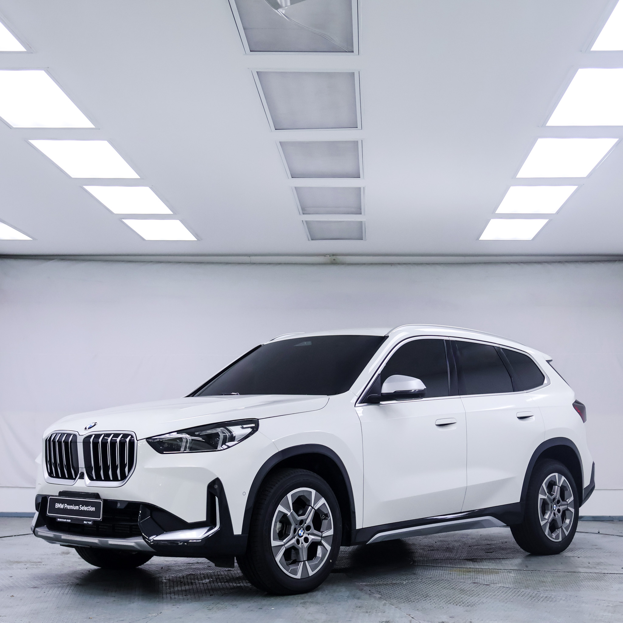 BMW X1 2.0i sDrive xline - U11
